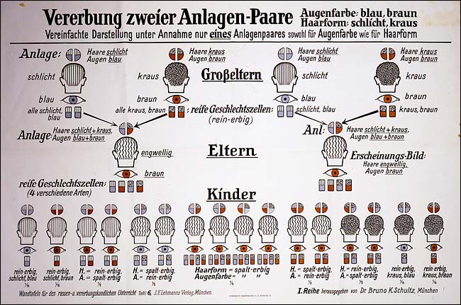 Penetrating Insights: Charts!