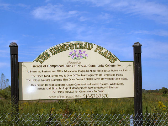 Early Levittown NY and Beyond -- By Frank Barning and Friends: Windy ...