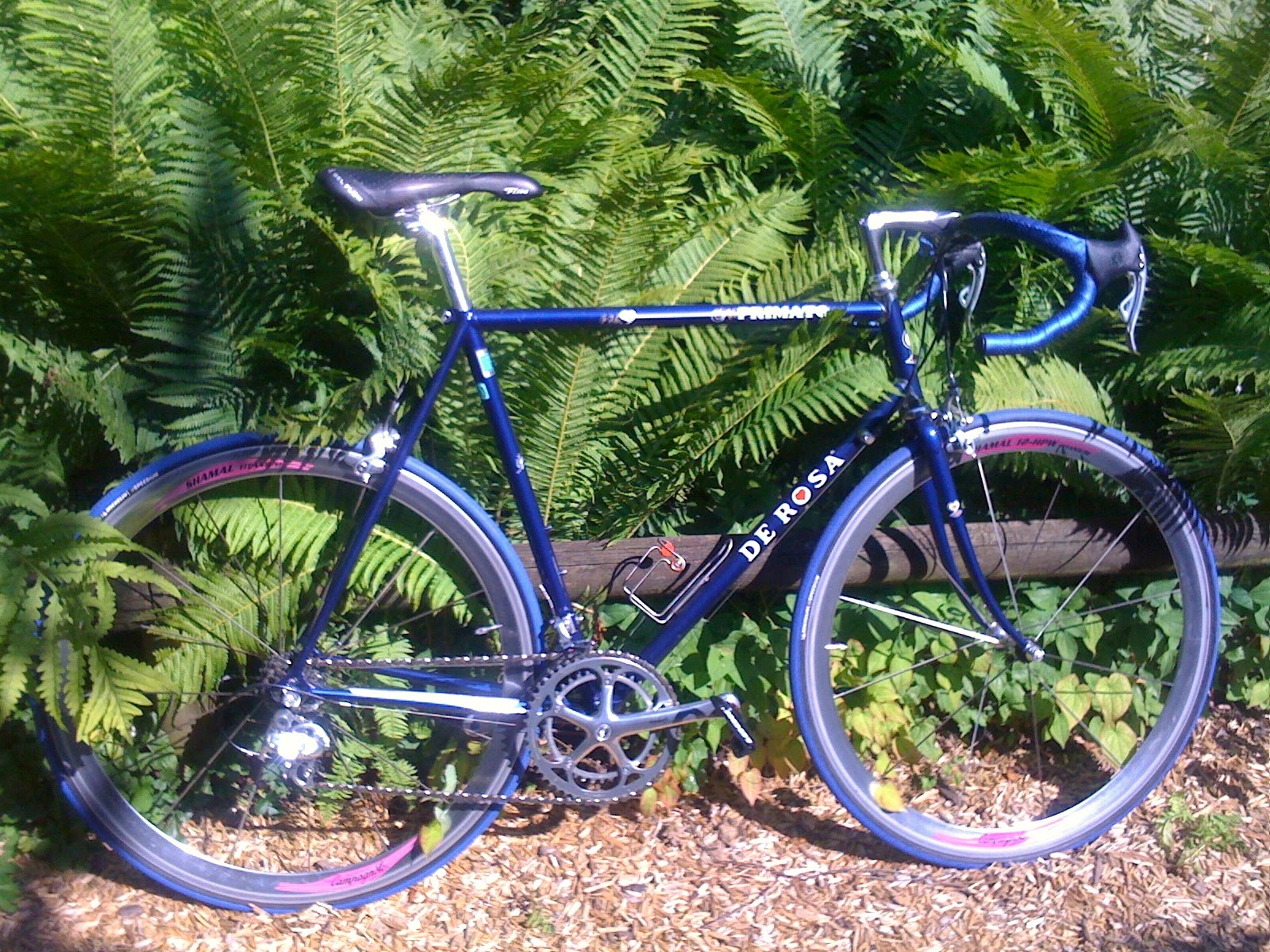 De Rosa Bicycles - BIKEADELIC: De Rosa Neo Primato from Zurich ...