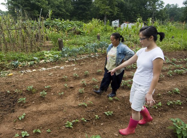 Foothills Sustainable Agriculture News: Among the Hmong