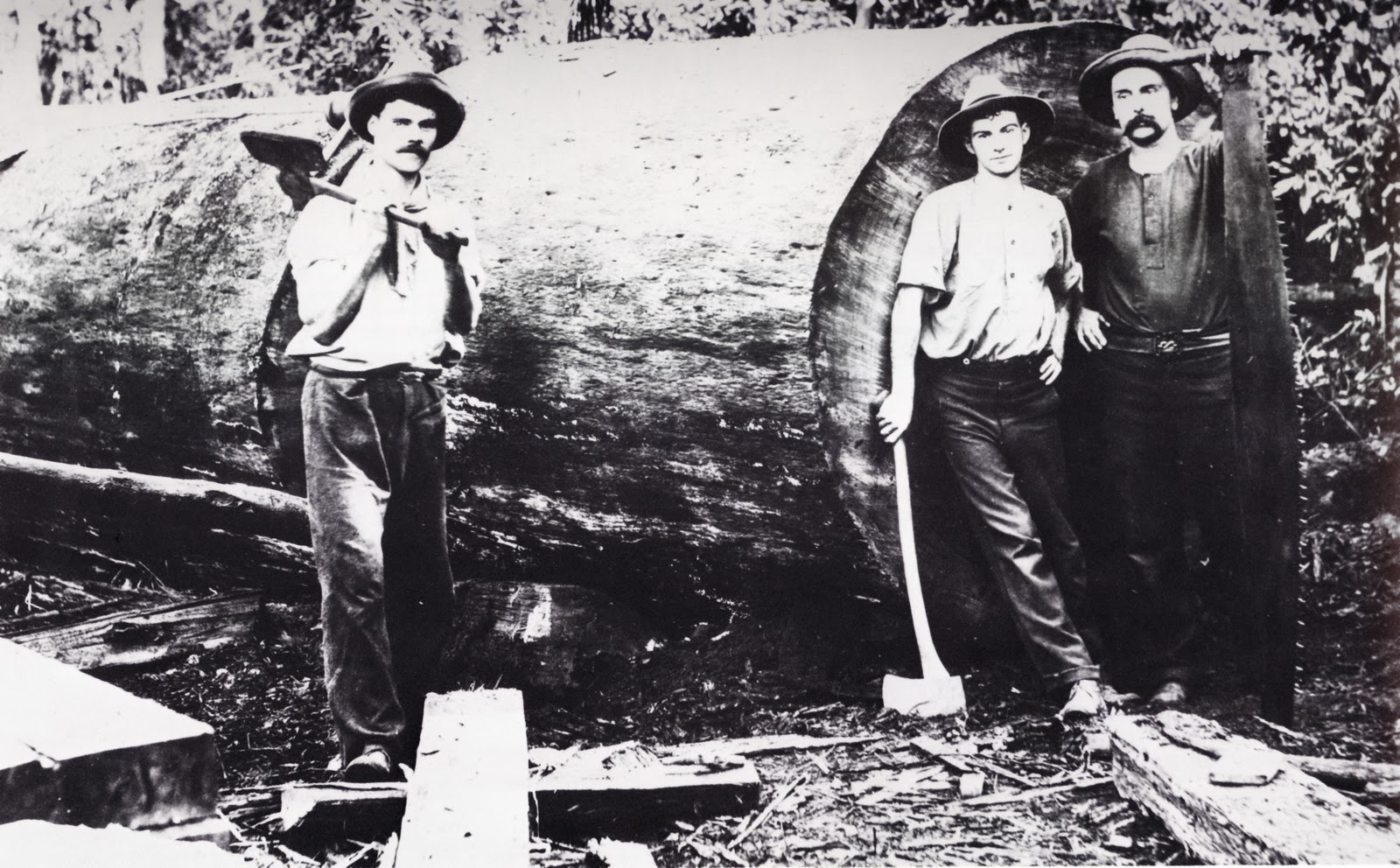 Lady Denman Museum: The sleeper-cutters.