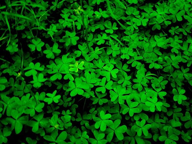 Amizing World: Natural beauty in green color