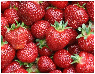 The Presurfer: Strawberries: Sweet And Tasty Treat With Anti-Aging Power