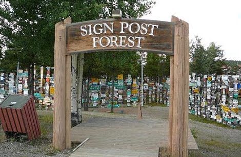 The Presurfer: Sign Post Forest