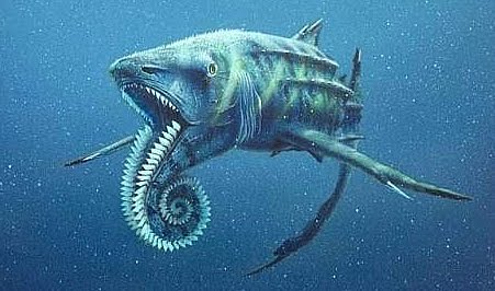 The Presurfer: The Ten Weirdest Sharks Ever