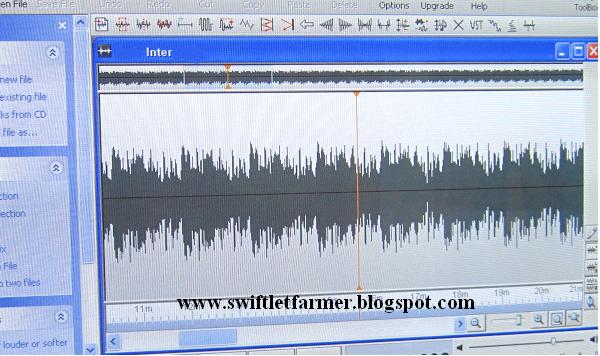 Swiftlet Farming : Swiftlets Farming Equipments, Edible Birds Nest and ...