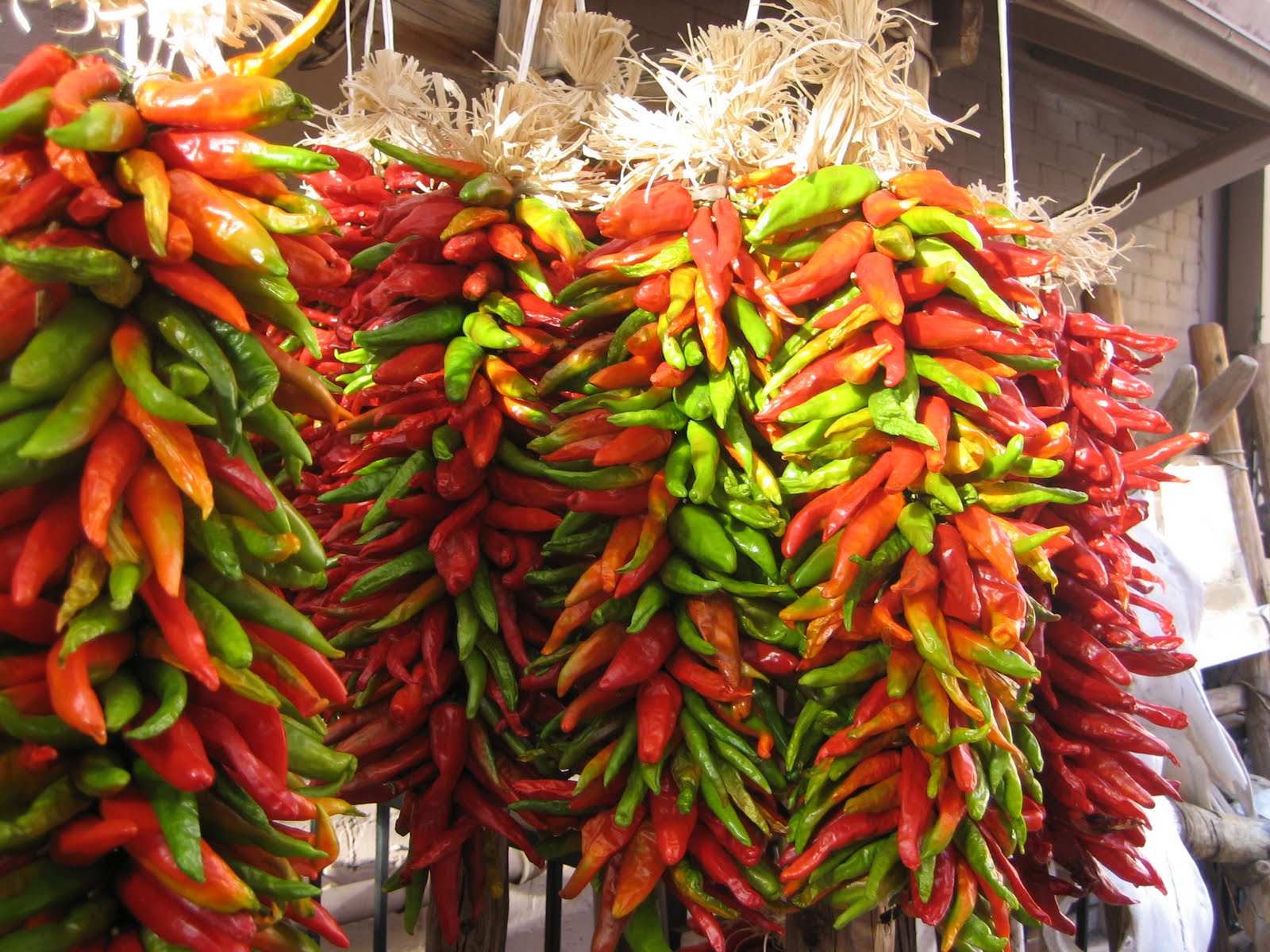 Lentil Breakdown: Chillin' with the Chiles in Santa Fe: Part 1