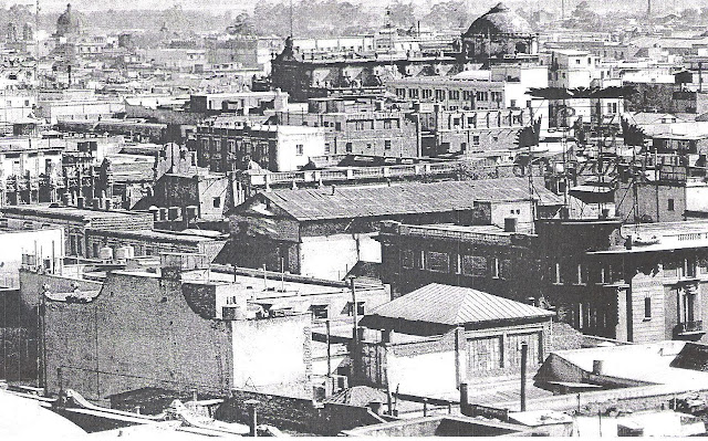 A cien años del centenario: Vista de la Colonia Roma en 1910
