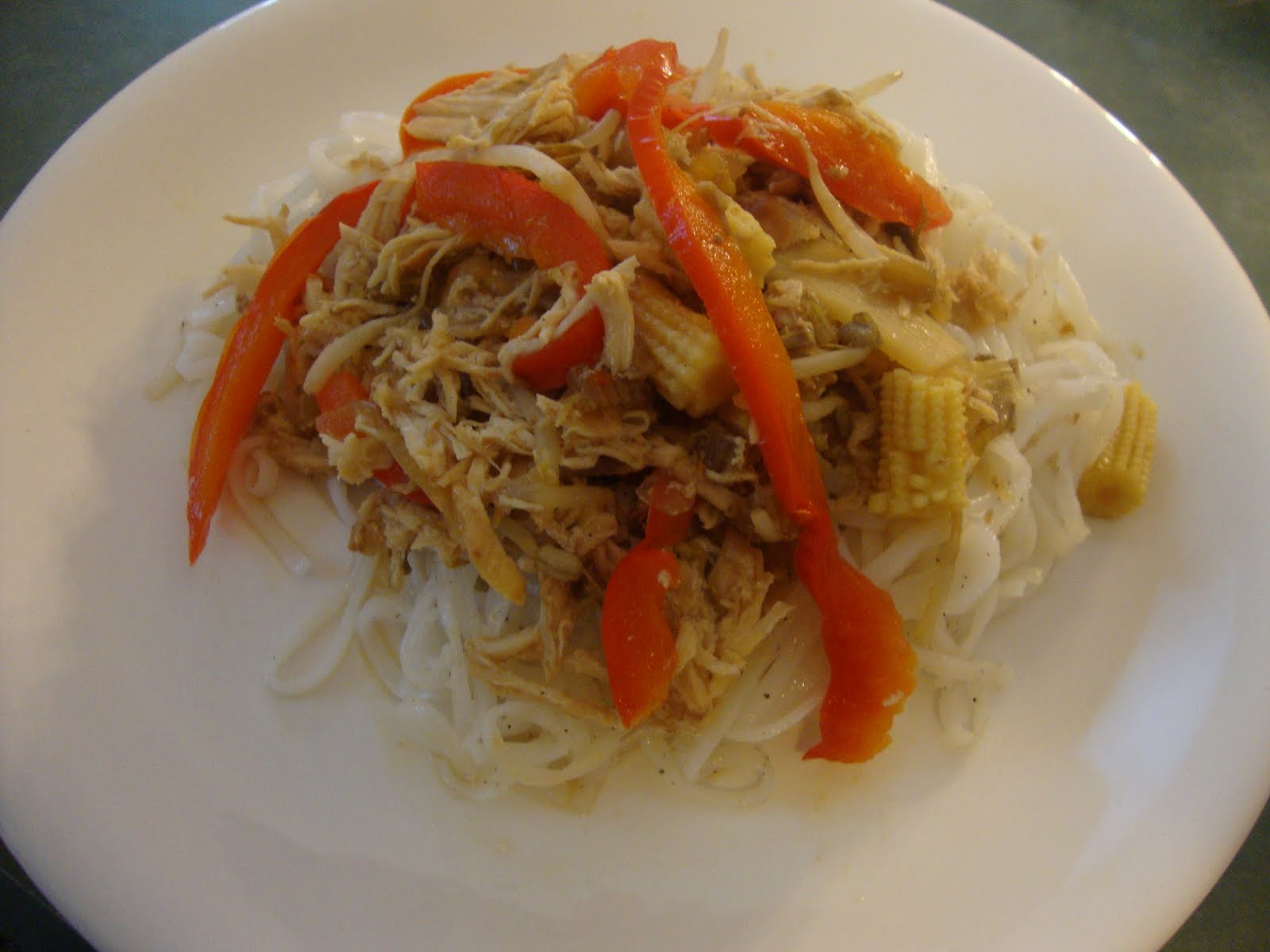 A Busy Mom's Slow Cooker Adventures: Healthy Chicken Chow Mein with ...