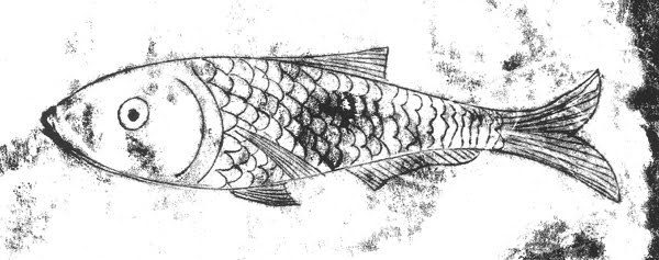 Way Upstream: Peter Gander Fish Collection