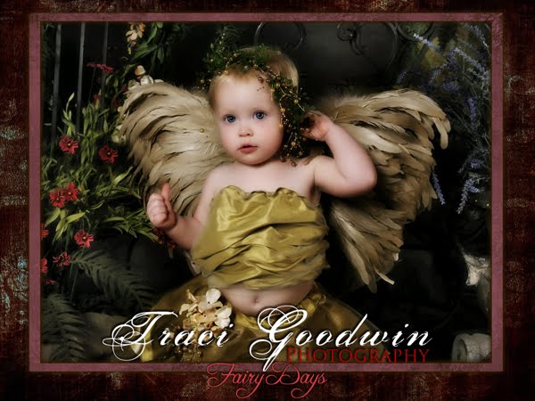 Traci Goodwin Photography