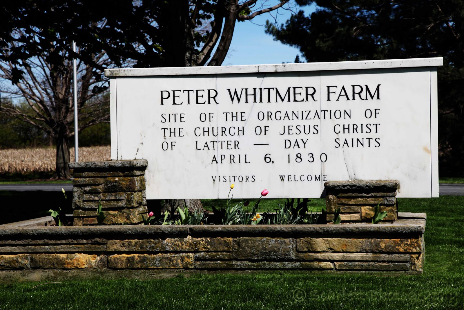 The Life and Times of Miss Beevers: Peter Whitmer Farm