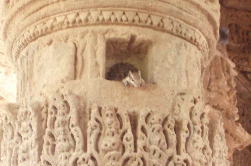 aesthetic point: Inside Box 1663, by Eleanor Jette