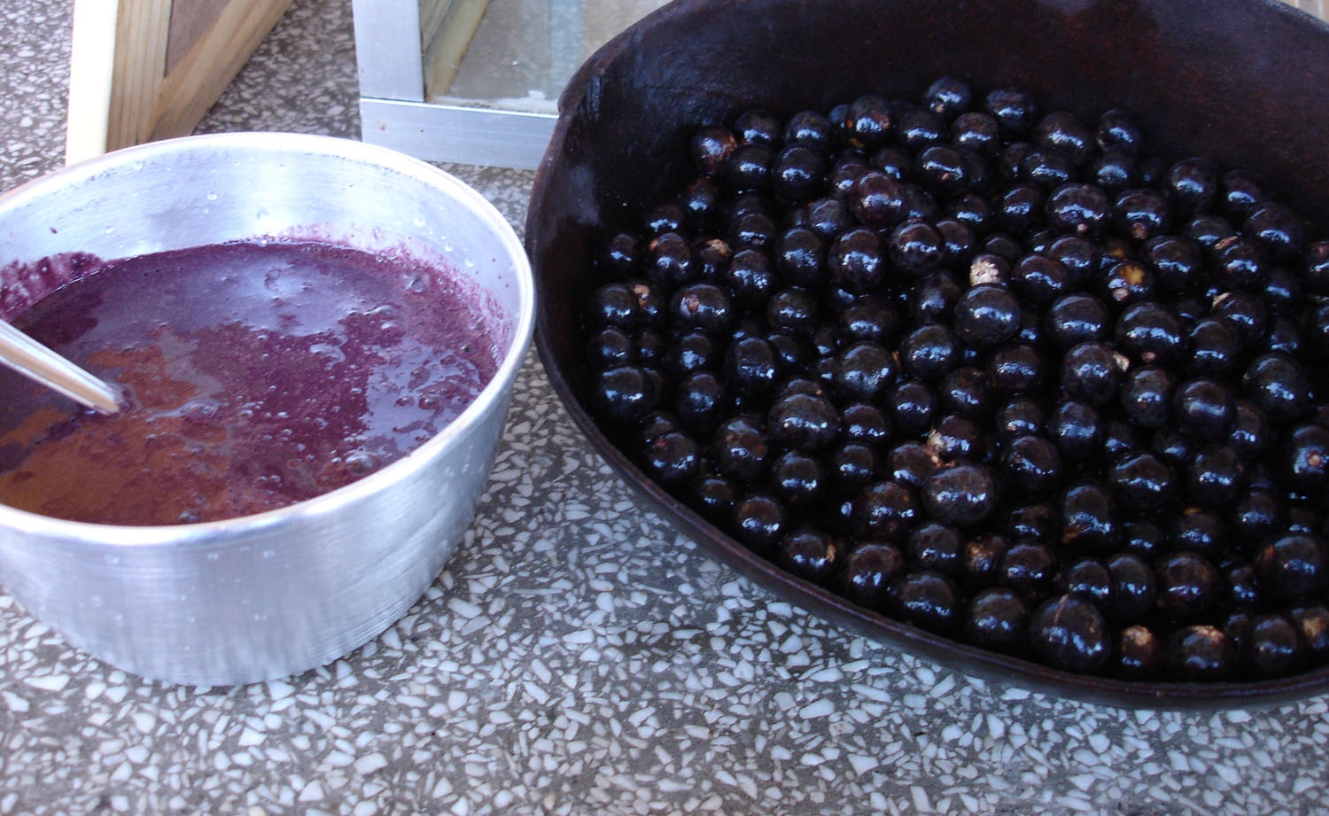 Sabor do Pará: fabuloso Açai