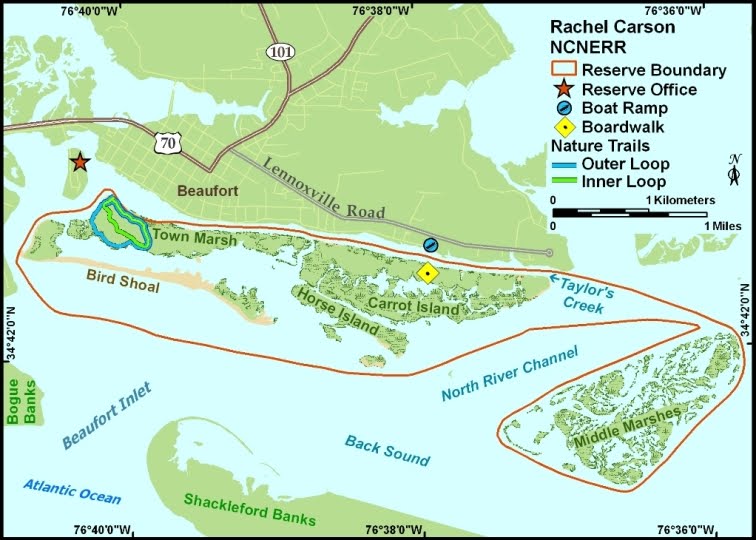 Beaufort NC Inlet & Harbor: Rachel Carson Reserve - An Overview