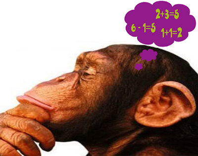 Noticias y Dibujos animados: EL TALENTO MATEMÁTICO DE LOS MONOS