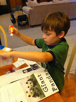 Sunrise Learning Lab: Pandas: Postively Popular with Us Here!