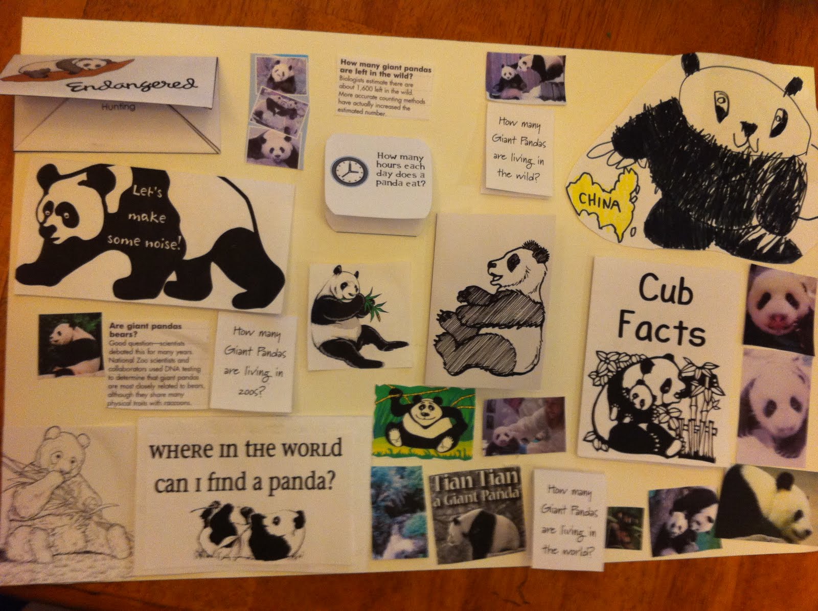 Sunrise Learning Lab: Pandas: Postively Popular with Us Here!