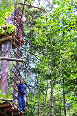 Windylea Gallery: Treego Moncton