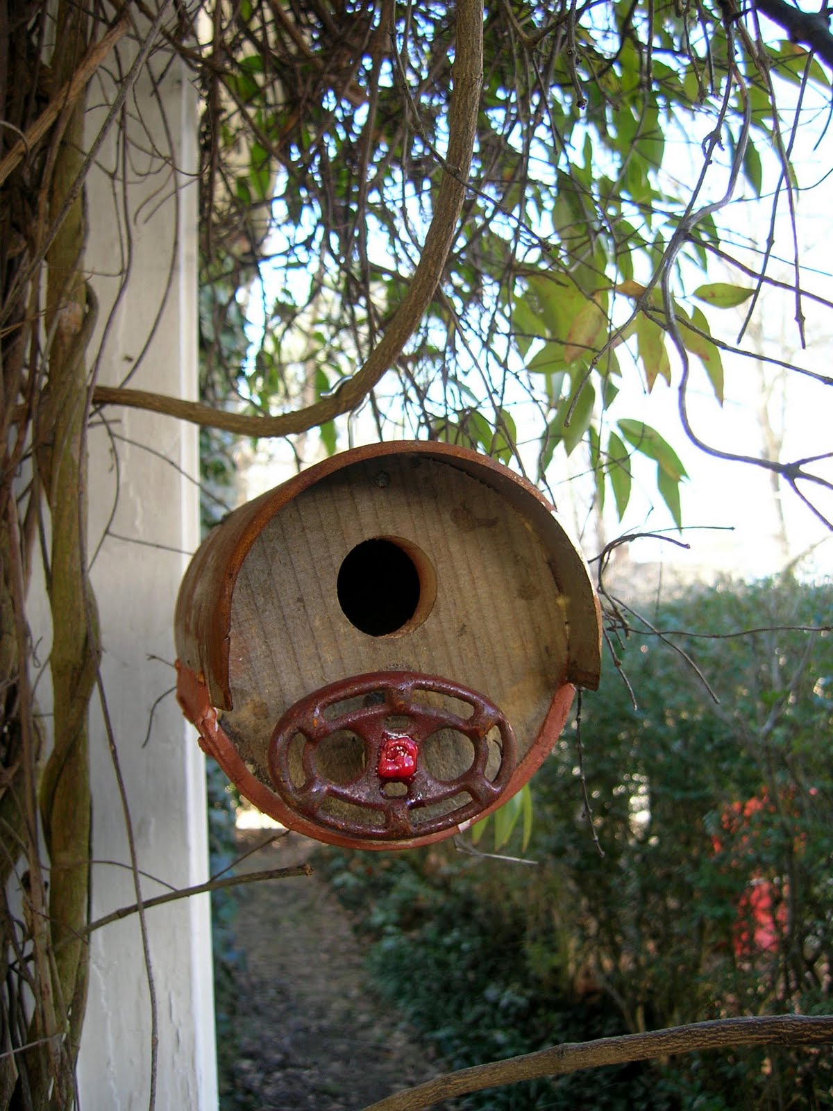 Donna's Art at Mourning Dove Cottage: Just another place to nest....