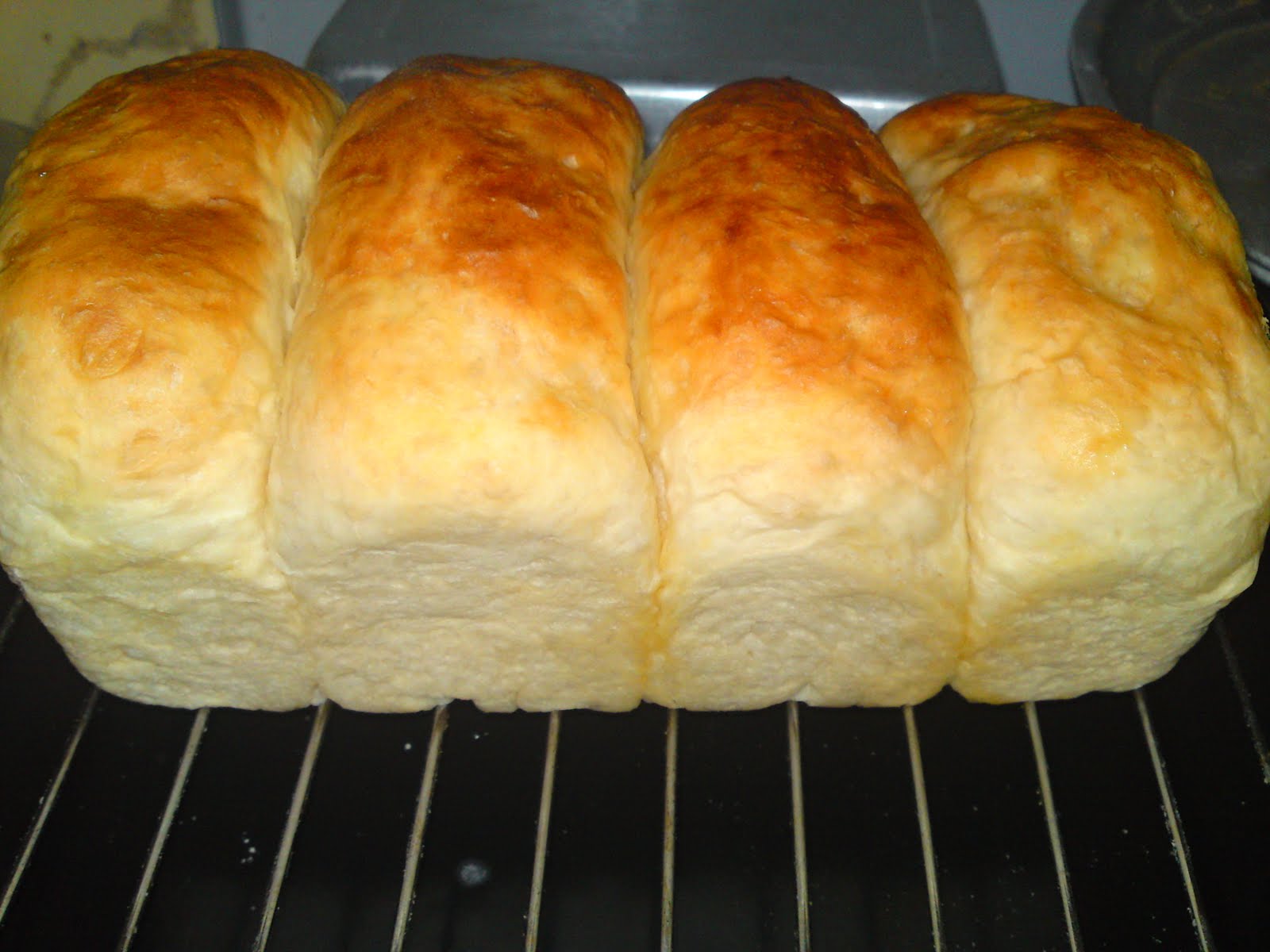 DARI DAPUR ORANG KAMPUNG: ROTI OH ROTI