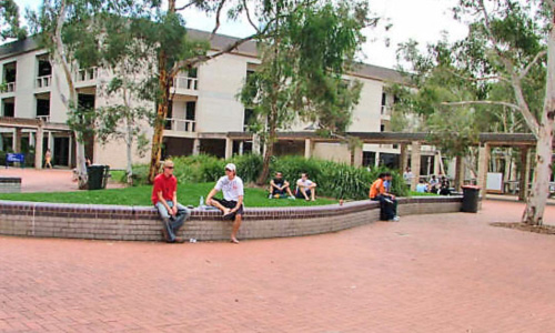 The Library Cat's Tale: The University of Canberra Library