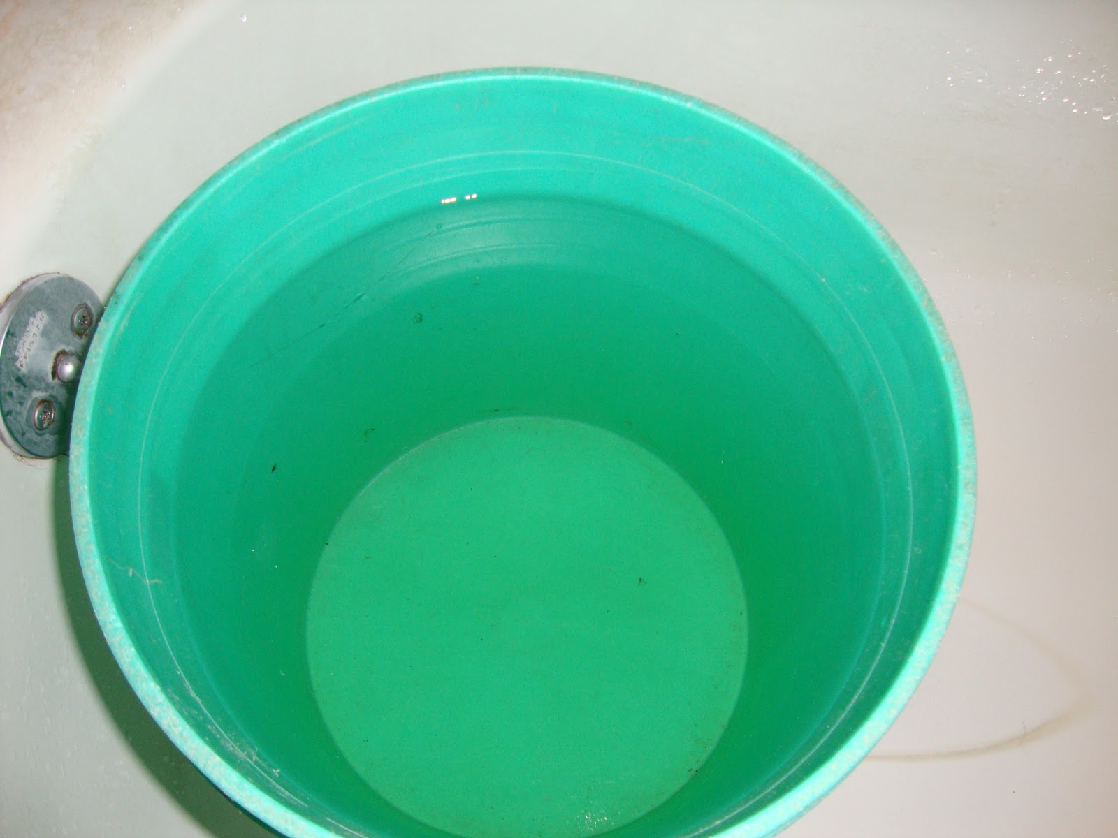 50+ Horses: The Green Bucket