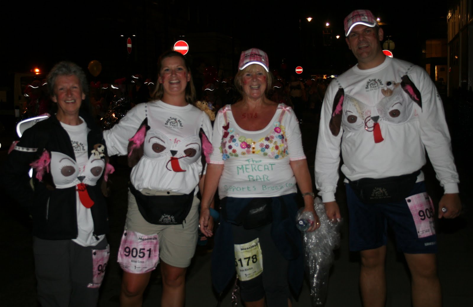 All in the life of me, budgie and friends: Edinburgh Moonwalk marathon ...