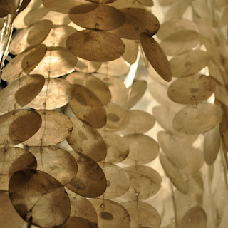 kapis atbp: Kapis shell's Products