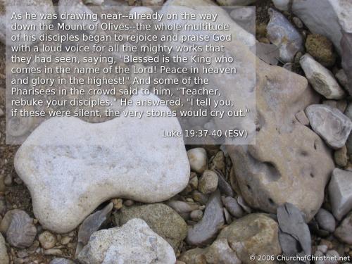 Just saying.....: If I don't... the rocks will have to!