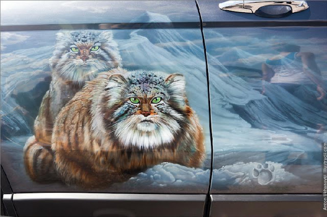 Fun Arena: Cool Body Graphics for your Car
