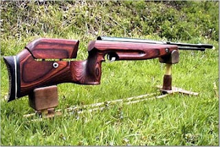 DaveG Custom Stocks: HW97 Pro Hunter