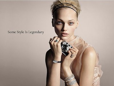 What does Svelte mean?