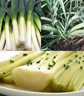 Meu Playcenter...: O que é alho poró?!