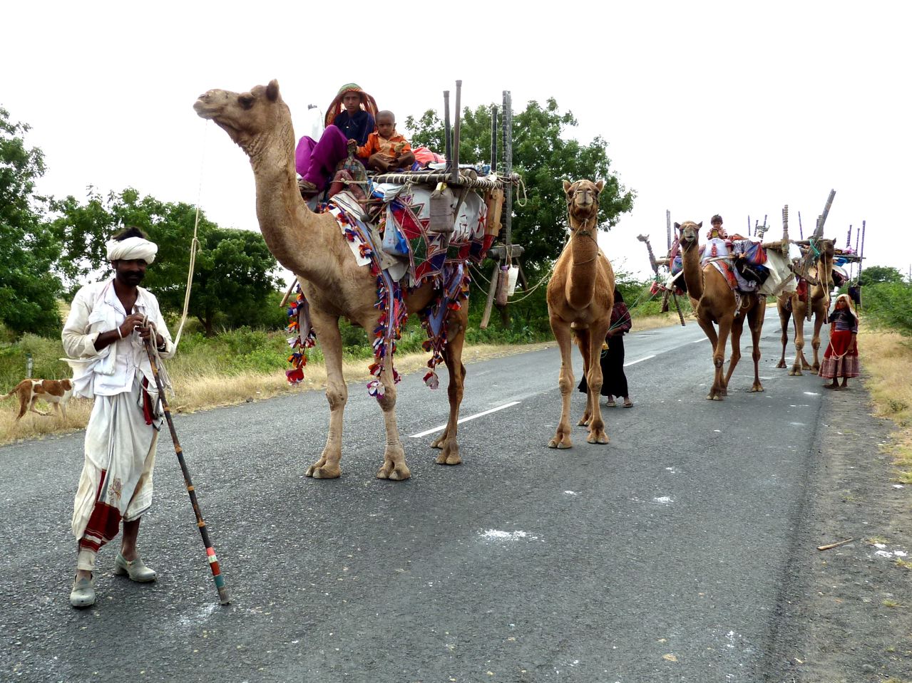 Robyn and Leslies Kachchhi Adventure: Leaving Kachchh
