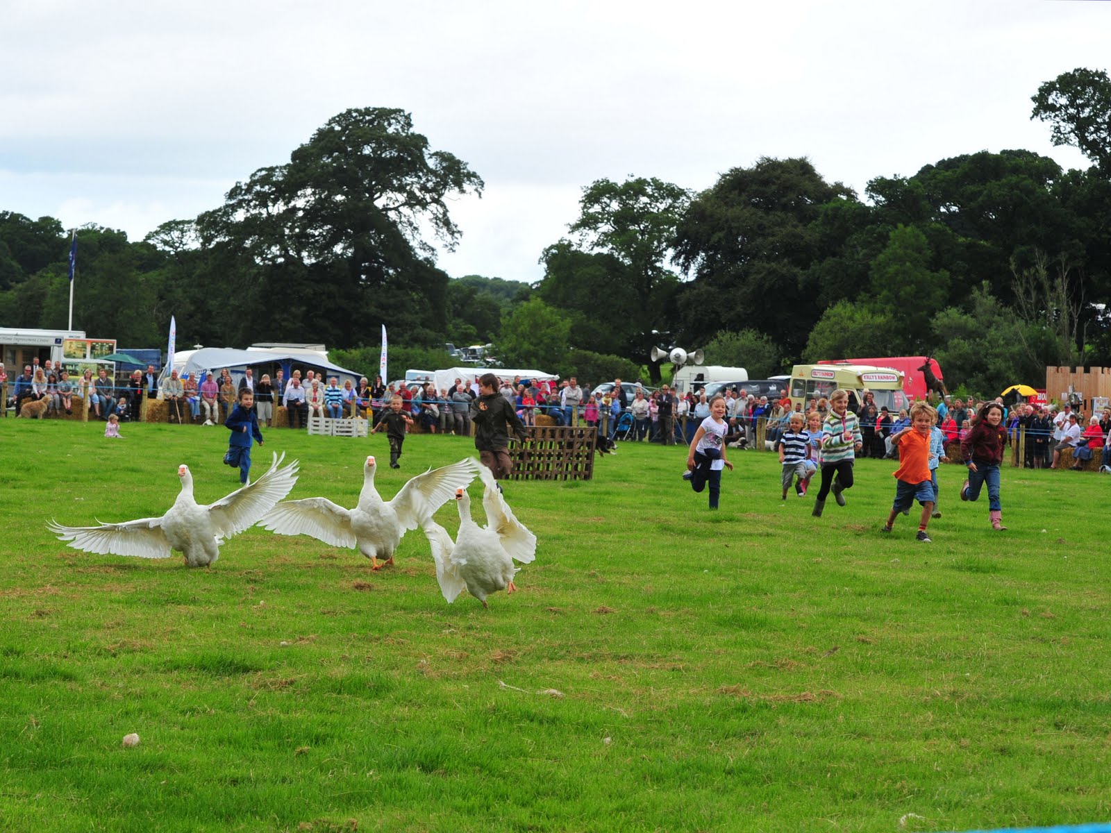 a dog's life in the Tamar valley, Cornwall, PL17: more simple pleasures ...