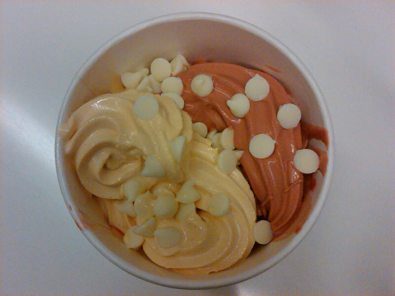 DCDesserts: FroZenYo: General Endorsement