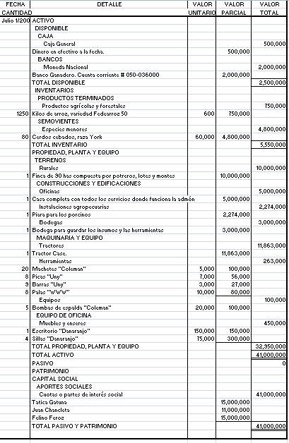 EJEMPLOS DE CONTABILIDAD: Libro de Inventario y Balance