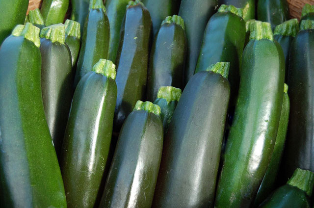 Tu E Chef: Talla de Calabacín (Zucchini, Calabacita)