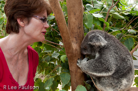From Off the Beaten Path: New Zealand & Australia 12: Sydney Zoo