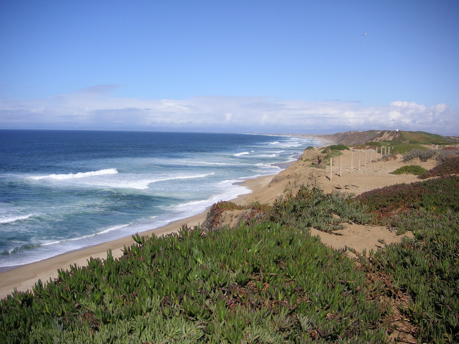 Escape To The Wild: A Guide To Fort Ord Dunes State Park