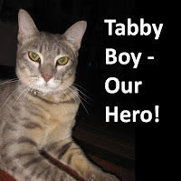 The Dog Blog of Goodness and Mercy: Tabby Boy - Our Hero