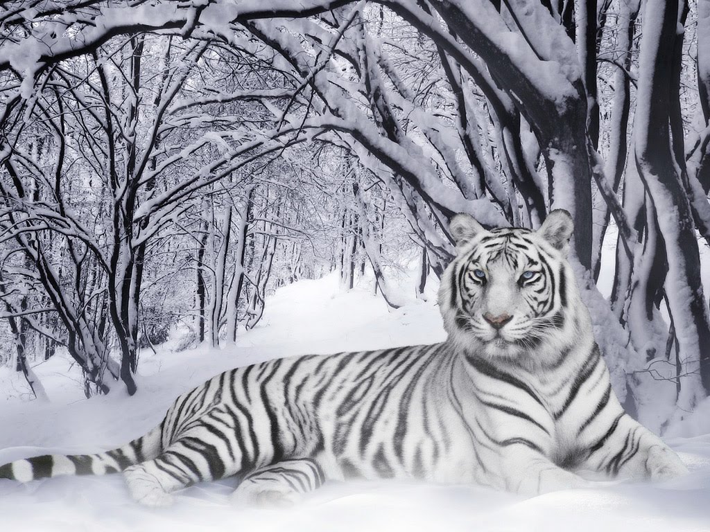 gypsywomanworld: the sacred forest of the snow tiger...