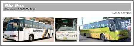 Jenis dan Tipe Bus Indonesia | Firman Koga