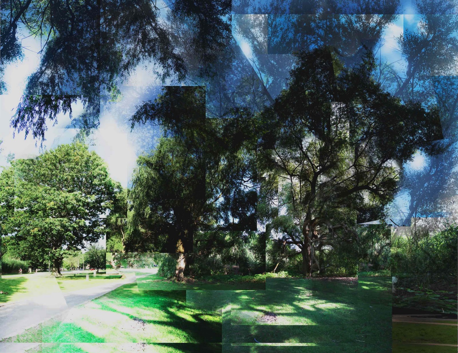 J. Barbato: Collage: Light and Shadow