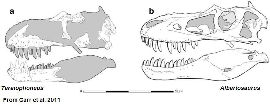 Theropoda: Teratophoneus!
