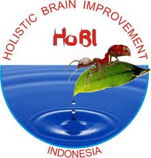 Frenship dan Online Store: SEJARAH HOLISTIC BRAIN IMPROVEMENT...HoBI