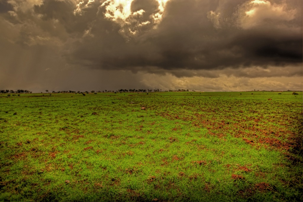 Photos of Eritrea's Landscape - Madote