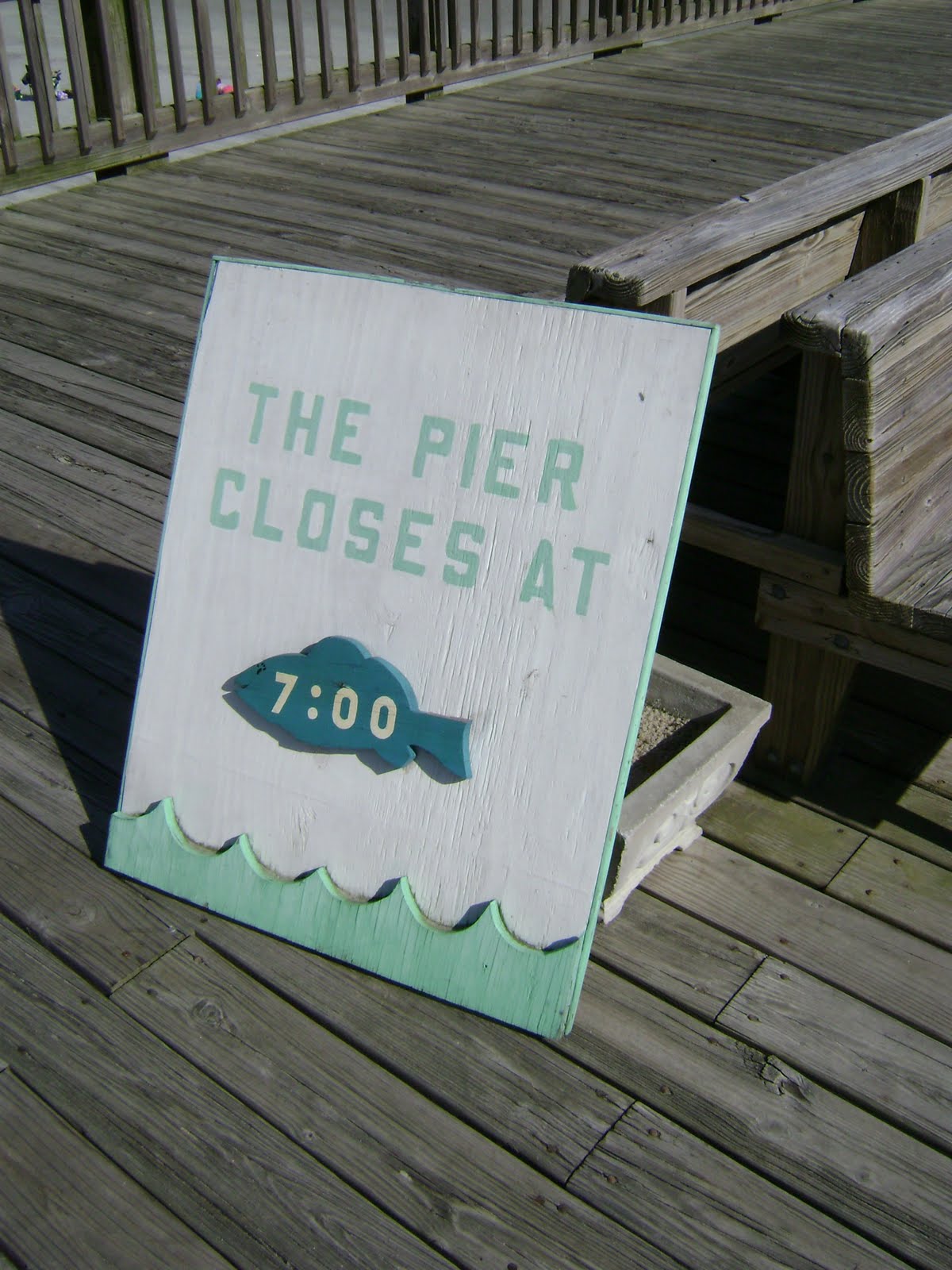 The 50 Chronicles: STATE #4: SOUTH CAROLINA