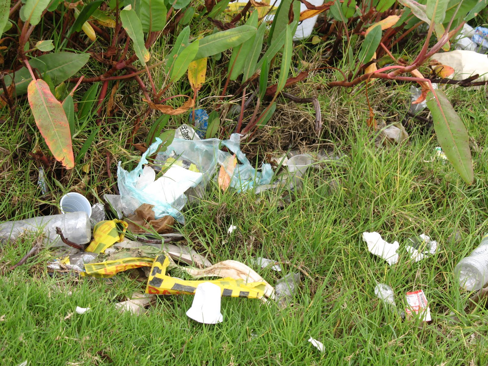 Cibercultura: BASURA BOGOTANA